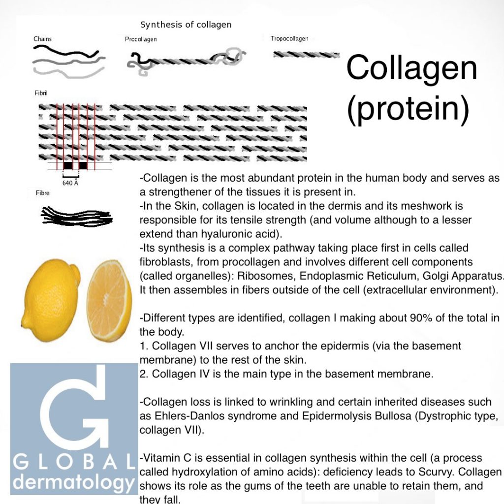 Global Dermatology » Collagen (protein) (Instagram)